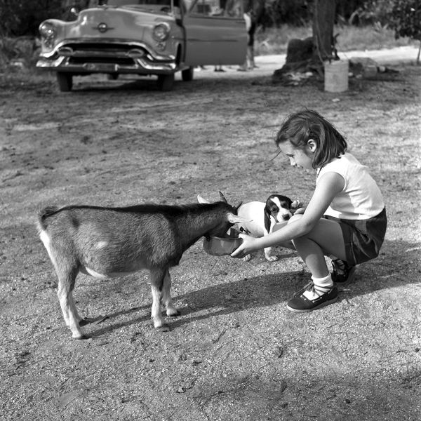 Charlie McCullough Retrospective: Tower Gallery to reveal unprinted ...